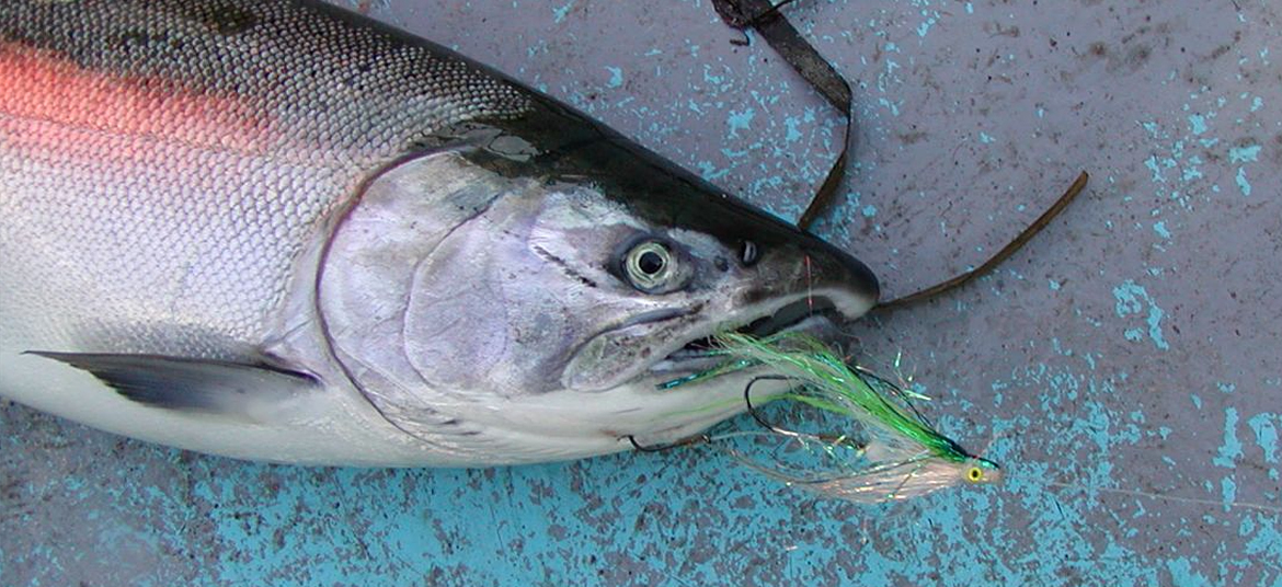 WiggleFin - ArcticFox Trolling Flies